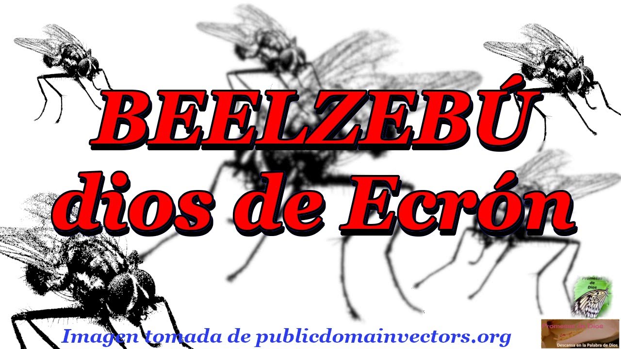 ¿Cuántos años tiene un ecrón? - Edukar