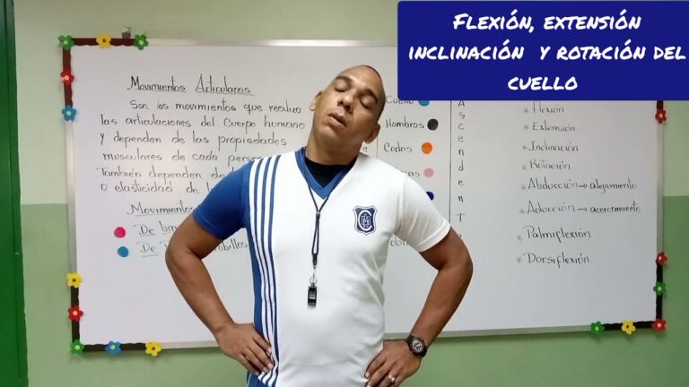 Movimientos articulares en educación física - Edukar